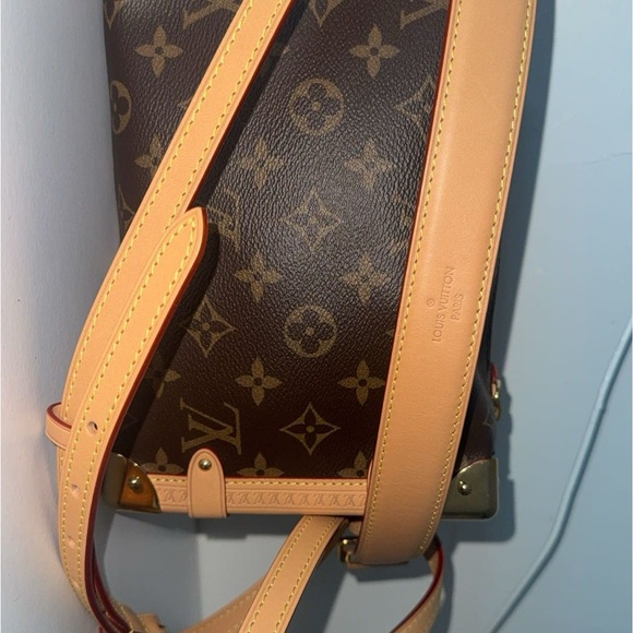 Louis Vuitton | Other | Lady Purse | Poshmark